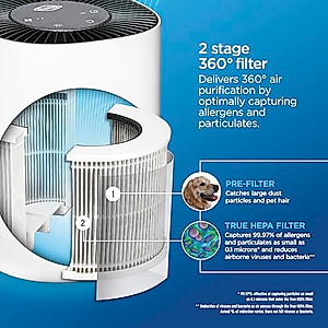 Clorox Air Purifiers for Home, True HEPA Filter, Small Rooms Up to 200 Sq Ft, Removes 99.9% of Mold, Viruses, Wildfire Smoke, Allergens, Pet Allergies, Dust, AUTO Mode, Whisper Quiet