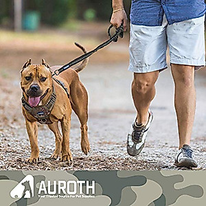 AUROTH Dog Leash Large Dogs, Heavy Duty Dog Leash Bungee, No Pull Dog Leash for Shock Absorption, Black Dog Training Leashes for Medium Large Breed Dogs 6FT, 2 Padded Handles