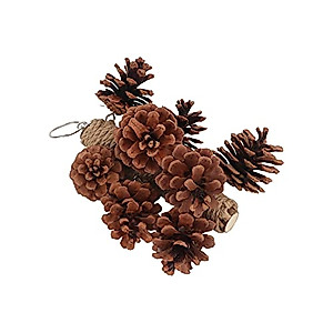 Parrots Pine Cone Chewing Toy, Hamster Chew Toys Hanging Wooden Pine Cones Bird Cage Funny Chewing Toy for Parakeet Cockatiel Grey Lovebirds Budgies Cockatoos(S)