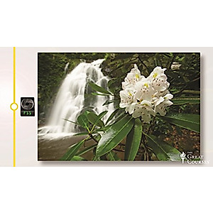 The National Geographic Guide to Landscape and Wildlife Photography