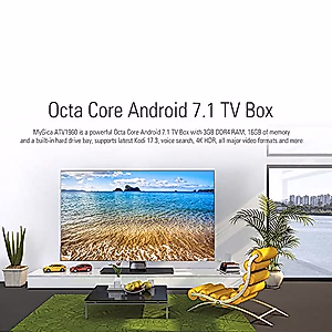 MyGica ATV1960 Octa Core Android Smart TV Box,4K HD Streaming Media Player Box 3GB/16GB/4K/HDR/1000M LAN/Internal