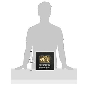 Primitives by Kathy 31143 Distressed Black and White Box Frame, 10 x 10-Inches, Rescue It