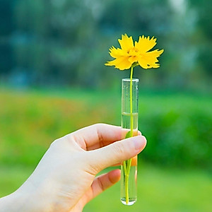 Temedon 100pcs Test Tubes, 16x100mm(10ml) Plastic Test Tubes with Caps for Lash Wands, Scientific Experiments, Plant Propagation