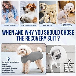 SlowTon Dog Recovery Suit - Surgery Recovery Suit for Female Male Dogs, Dog Onesie After Spay Abdominal Wounds, E-Collar Cone Alternative Prevent Licking Pet Surgical Snugly Suit(Grey,XXL)