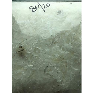 Upholstery Down-Proof Ticking Fabric.100% Cotton Plus 233 Thread Count (63" Wide, 1 Yard), Delivery & Sold to NY,NJ and PA Since 2018