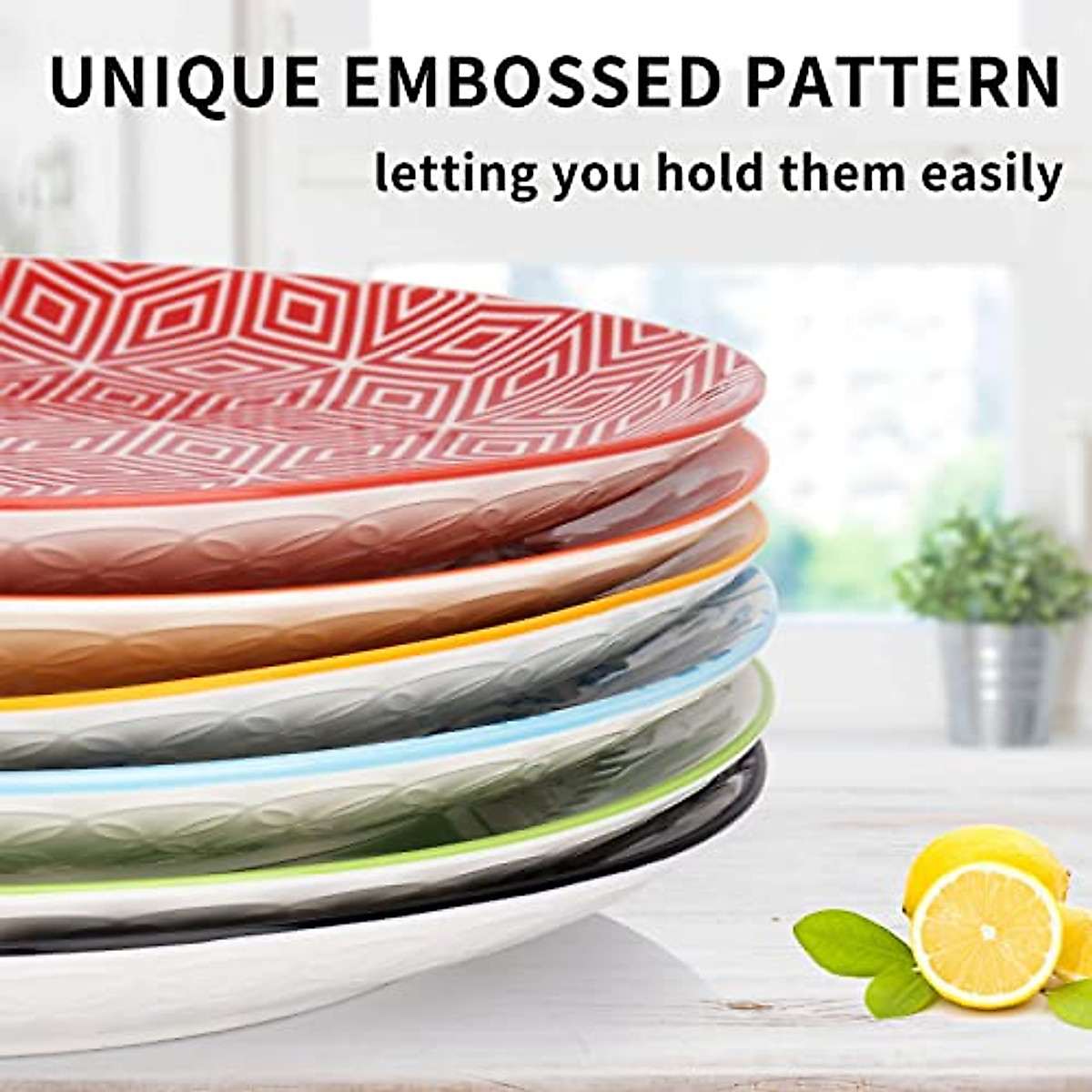 Porcelain Dinner Plates Set of 6, Vivimee 10.2 Inch Large Dinner Dishes Set, Ceramic Salad Plates Set, Colorful Serving Plates for Restaurant, Kitchen and Family Party Use, Dishwasher & Microwave Safe