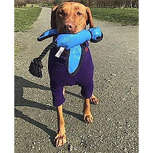 Nerf Dog Large Nylon Launching Duck with Interactive Design, Blue (3473), for All Breed Sizes