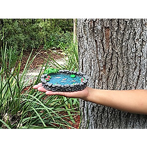 GlitZGlam KOI Miniature Pond - Koi Pond for a Fairy Garden. A Miniature Pond for a Miniature Fairy Garden and Enchanted Garden Accessories