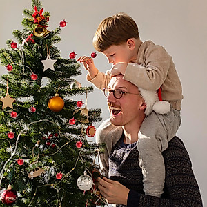 RAYNAG 100 Pieces Mini Artificial Pomegranate Fake Fruit Berry Stamen Christmas Party Decor DIY Craft,Red