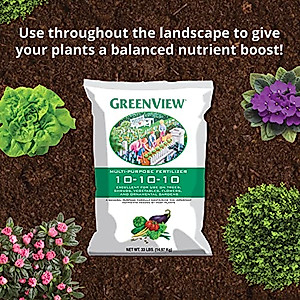 GreenView 2129872 Multi-Purpose Fertilizer, 33 lb bag - NPK 10-10-10