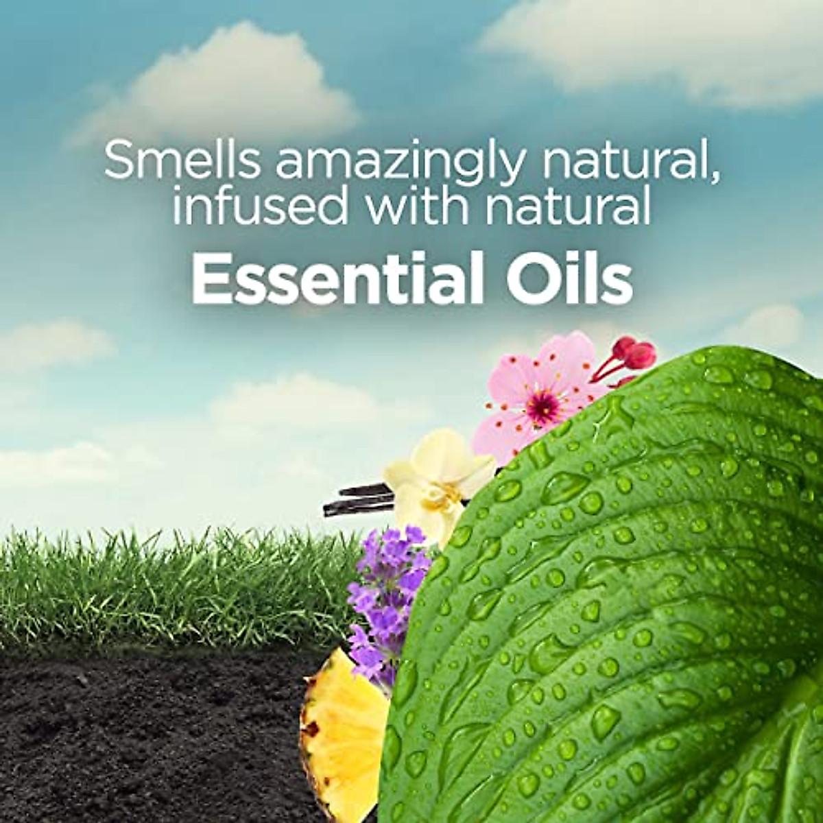 Botanica by Air Wick Plug in Scented Oil Refill, 10ct, Fresh Pineapple and Tunisian Rosemary, Essential Oils, Air Freshener, Eco Friendly