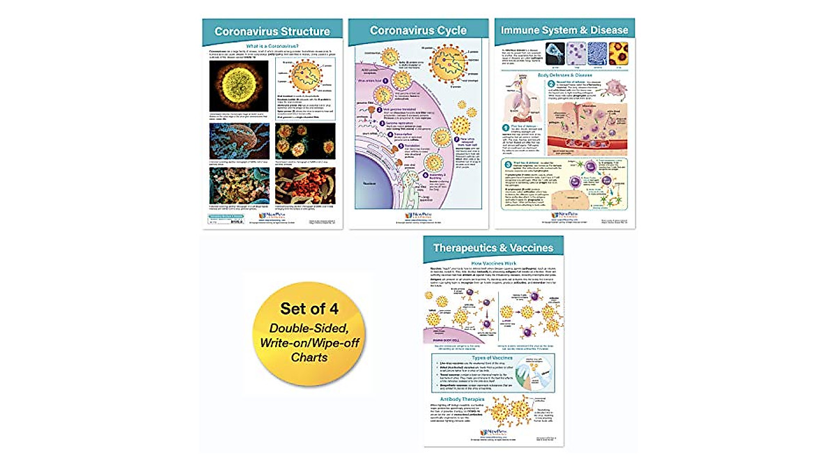 Coronavirus Immunity Chart Set - Enhance Learning Today