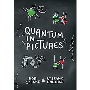 Quantum in Pictures: A New Way to Understand the Quantum World