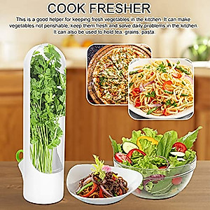 2Set Fresh Herb Keeper,Herb Saver for Refrigerator Herb Saver Pod, Vegetables Leaf Separator,Herb Storage Container for Cilantro, Mint, Asparagus Keeps Greens Fresh 3 Weeks(As Shown,size:9.6x2.6inch)