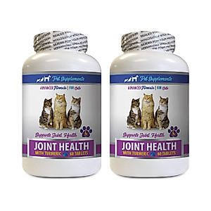PET SUPPLEMENTS & NUTRITION LLC cat Joint Pain - Cats Joint Health with Turmeric - MSM - Natural Support for Hip and Joints - glucosamine chondroitin Dogs and Cats - 2 Bottles (120 Tablets)