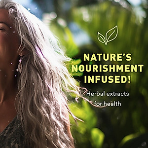 Just Nutritive Gray Hair Shampoo | Gray Hair Treatment | Just Natural Hair Care | Natural Shampoo 16 Oz