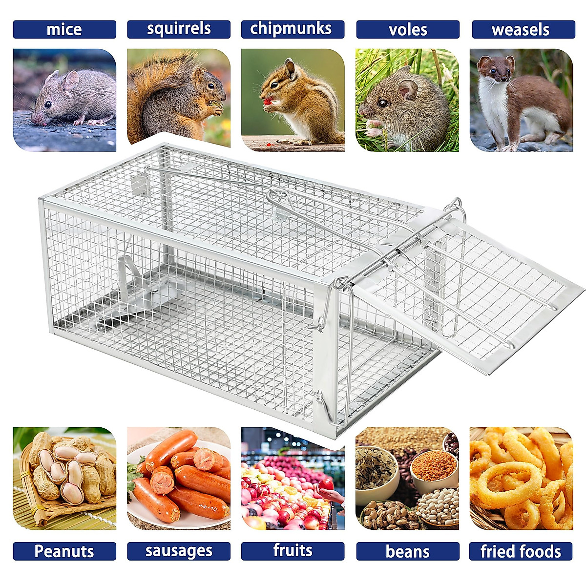 2 Pack Humane Rat Traps - Have a Heart Mouse Trap for Squirrel Mouse Rat Mice, Live Rat Traps Catch and Release for Indoors and Outdoors