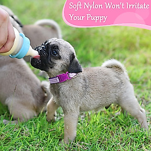 Auidy_6TXD 14pcs Puppy Collars for Litter Adjustable Whelping Puppy Collars Soft Nylon Whelping Collars Puppy Id Collars for Puppy Small Dogs(Medium)