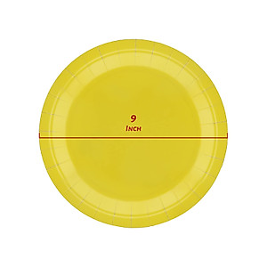 hapray 50 PCS 9" Disposable Paper Plates for Dinner and Dessert, Colorful Party Supplies Pack, for Birthday Baptism Baby Shower Valentines Day Gifts for Kids Classroom