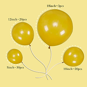 Mustard Yellow Balloons Birthday Decoration 73pcs 5/10/12/18 inch Assorted Sizes Tropical Balloons Thanksgiving Fall Party Balloons