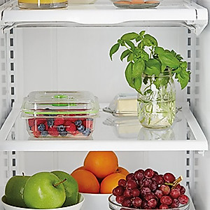 FoodSaver B01AJJ1WPI Vacuum Sealed Fresh Container, 3 Cup, Clear