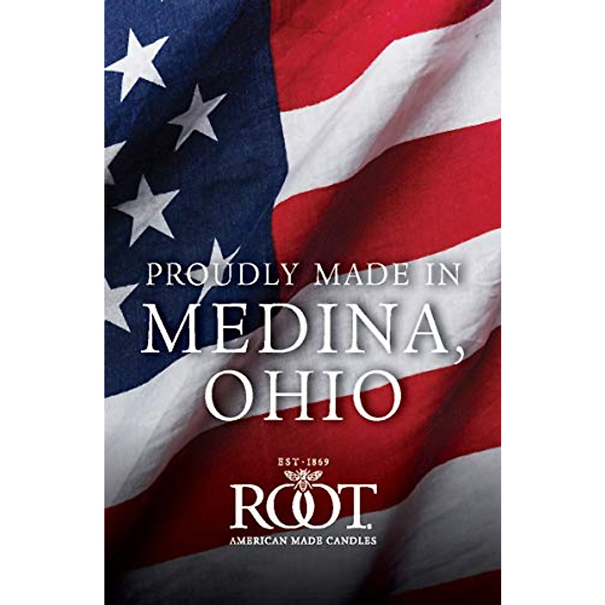 Root Candles 336147 Unscented Timberline Pillar Candle, 6-Inch, White