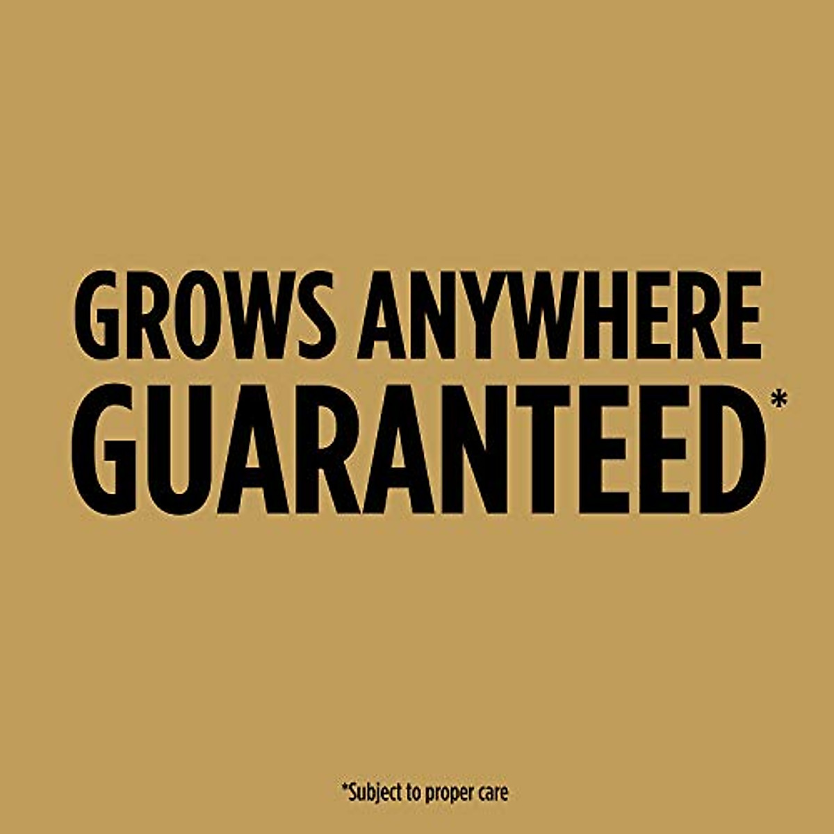 Scotts EZ Seed Dog Spot Repair Tall Fescue Lawns - 2 lb., Combination Mulch, Seed and Soil Amendment Includes Protectant and Tackifier, Neutralizes and Repairs up to 100 Dog Spots