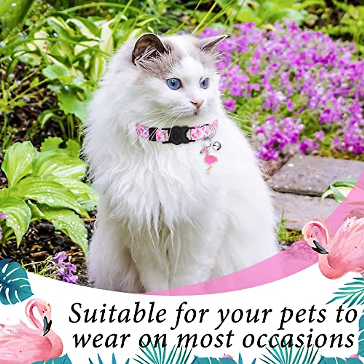 4 Pieces Cat Collars Breakaway with Bell and Pendants Colorful Summer Cat Safety Collar Adjustable Collar for Cats Cute Kitten Collar Set Cat Collar for Pet Kitten Supplies (Cute Style,Medium)