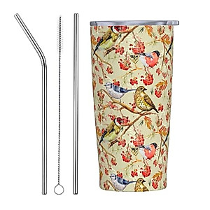 20oz Tumbler Watercolor Cute Birds Double Wall Vacuum Insulated Coffee Mug with Lid and Metal Straw Brush Reusable Stainless Steel Water Bottle Travel Cup Gifts for Car Ice Drinks Hot Beverage