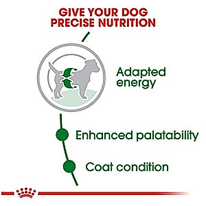 Royal Canin Small Breed Adult Dry Dog Food, 14 lb bag