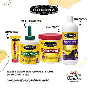 Corona Spray Staining, Non-Caustic Thrush Care for Horses | 8 Fluid Ounces