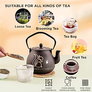 Japanese Cast Iron Tea Pot, Tetsubin Tea Kettle with Removable Loose Leaf Infuser, Japanese Teapots for Stove-Top Safe Hand Painted Squirrel Pattern Coated with Enameled Interior, 34 Oz (Dark Green)