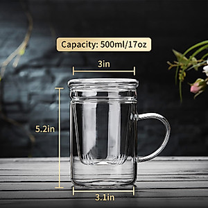 Unbreakable Glass Tea Cup with Infuser and Lid 500ml/17oz Glass Tea Infuser Mug Heat Resistant Silicate Glass Teacup with Strainer for Loose Leaf Blooming Tea Bag Gas Stovetop Safe