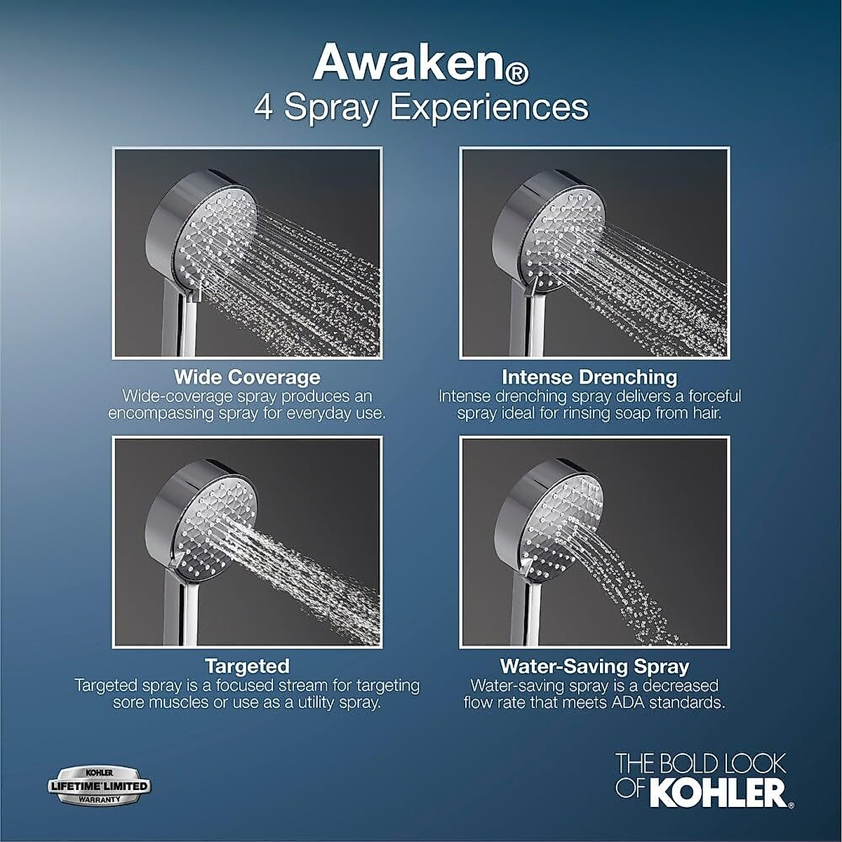KOHLER 72421-H-CP Awaken Handshower, Polished Chrome