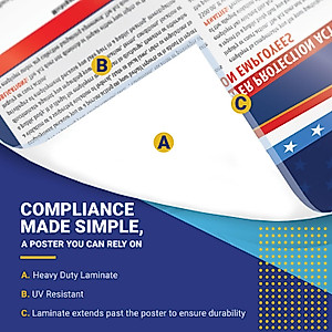 2025 Florida State and Federal Labor Law Poster - OSHA Workplace Compliant - Mandatory Regulations Posting for Employees - Required Compliance Posting 16" x 40" Laminated (1PACK)