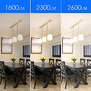 ENERGETIC Super Bright Light Bulb 150 Watt Equivalent A21 LED Light Bulb, Cool White 4000K, 2600 High Lumens LED Bulb, E26 Base, Non-Dimmable, UL Listed, 2 Pack