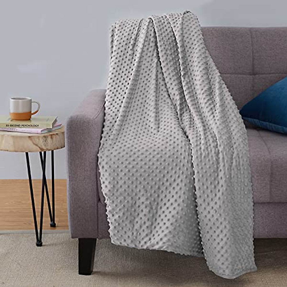 Amazon Basics Weighted Blanket with Minky Duvet Cover - 12 Pound, 48 x 72-Inch, Dark Grey/Grey