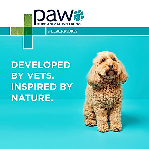 PAW Osteocare Joint Health Chews 500