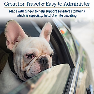 Rx Vitamins NutriCalm - Hemp Calming Chews for Dogs - Dog Calming Chews with Melatonin and Chamomile - Anxiety Relief Treats - Provides Relaxation & Separation Anxiety Relief for Dogs - 120 Capsules