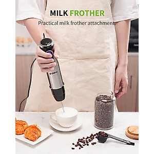 LIMENT 5-in-1 Multi-Purpose Hand Blender, 20-Speed Immersion Blender, Heavy Duty & Low-Noise DC Motor, With Food Chopper, Whisk, Milk Frother, Mixing Beaker, BPA-Free