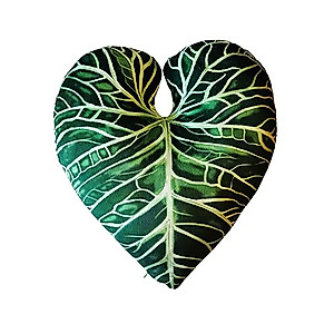 HOFFENDER Leaf Pillows Plant Pillows for Bedroom, Living Room and Patio Green Throw Pillows (Anthurium Regale)