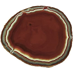 Gift Set of Four Genuine Brazilian (3.5"- 4") Agate Coasters. Includes Protective Rubber Bumpers - Natural