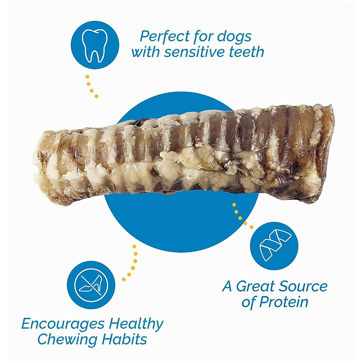 123 Treats Premium Beef Trachea for Dogs – 6 Inch 100% Natural Beef Dog Chews, Rich in Glucosamine and Chondroitin for Joint & Hip Mobility (10 Count)