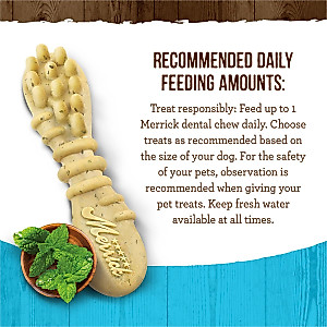 Merrick Fresh Kisses Natural Dental Chews Toothbrush Shape Treat Infused with Real Mint Medium Dogs - 10 Ct. Bag