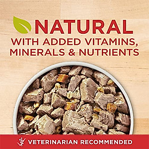 Purina ONE Tender Cuts in Gravy Beef and Barley Entree in Wet Dog Food Gravy - (12) 13 oz. Cans