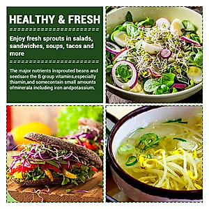 Sprouting Lids, Plastic Sprout Lid with Stainless Steel Screen for Wide Mouth Mason Jars, Germination Kit Sprouter Sprout Maker with Stand Water Tray Grow Bean Sprouts, Broccoli Seeds, Alfalfa, Salad