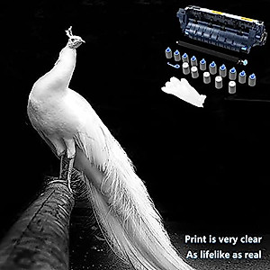 F2G76A (E6B67-67901, F2G76-67901) Fuser Maintenance Kit Compatible with HP Laserjet M604 / M605 / M606 (110V),Includes 1PC RM2-6308 Fuser,1PACK Transfer Roller & Tray 2-6 Rollers, Protective