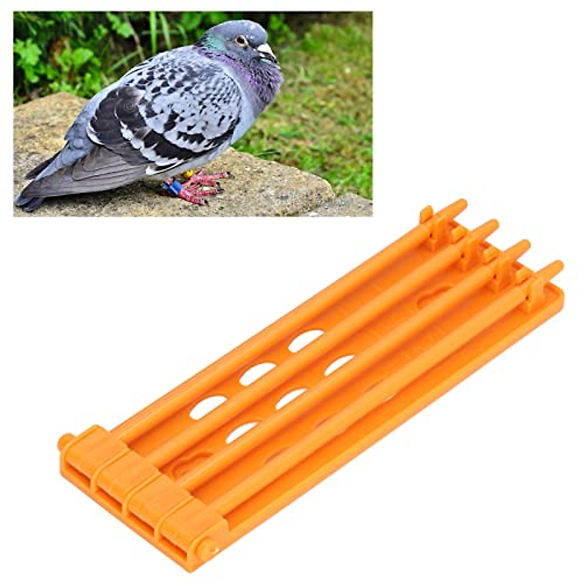 Pigeons Bands Rack Frame, Pigeons Leg Rings Holder 3Pcs Save Space 4 Column for Pigeons Farm Yellow
