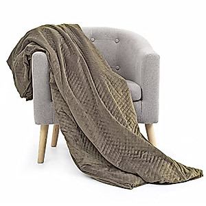 Classic Brands 15 lb. Quilted Weighted Blanket with Removable Cover, Taupe |Gift for the Holidays