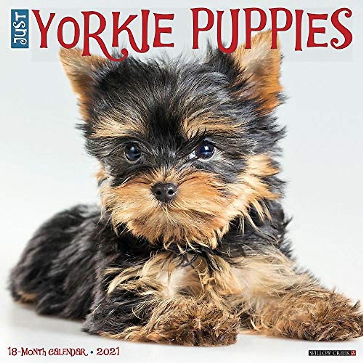 Just Yorkie Puppies 2021 Wall Calendar (Dog Breed Calendar)